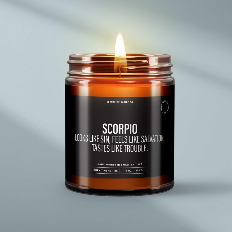 Scorpio Candle, Funny Scorpio Gifts, Zodiac Sign Candle, Sultry ...