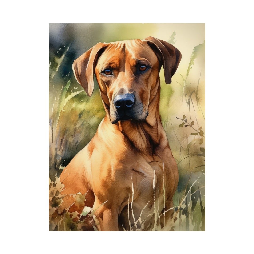 Rhodesian Ridgeback Dog Art Print, Dog Wall Art, Animal Art Print ...