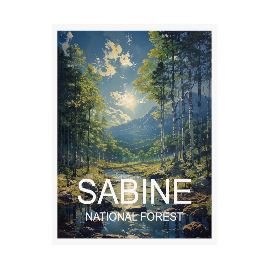 Sabine National Forest Travel Poster, Landscape Poster Art, Travel Art ...