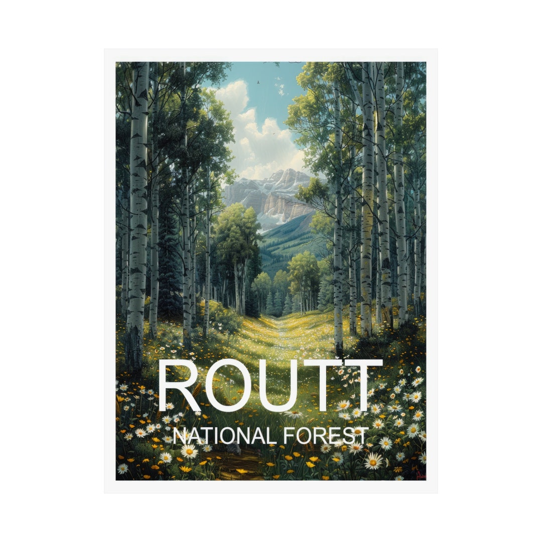 Routt National Forest Travel Poster, Landscape Poster Art, Travel Art ...