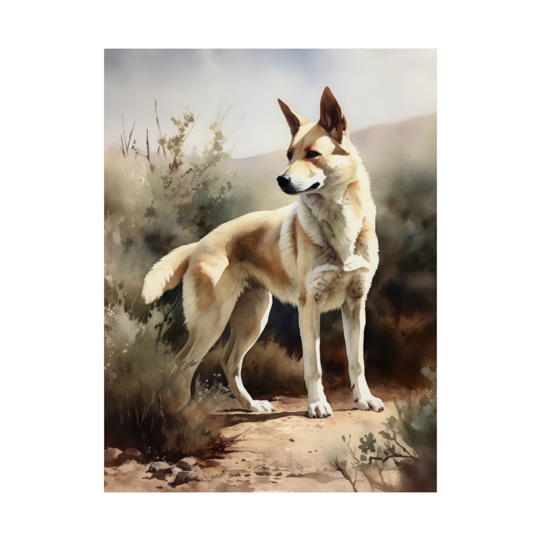 Canaan Dog Art Print, Dog Wall Art, Animal Art Print, Animal Art Poster ...