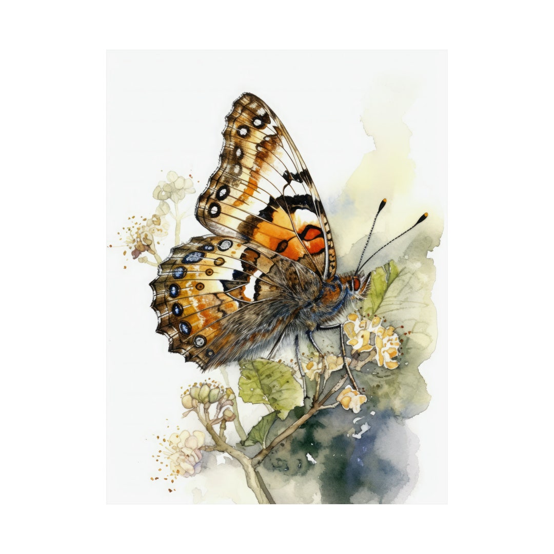 Phaon Crescent Butterfly Art Print, Butterfly Home Décor, Watercolor ...