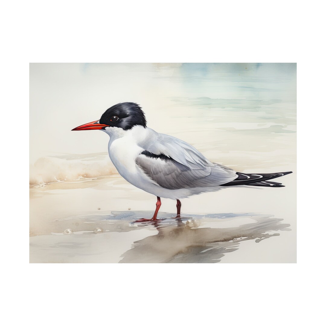 Sternidae Bird Art Print, Bird Painting, Bird Wall Art, Bird Watercolor ...
