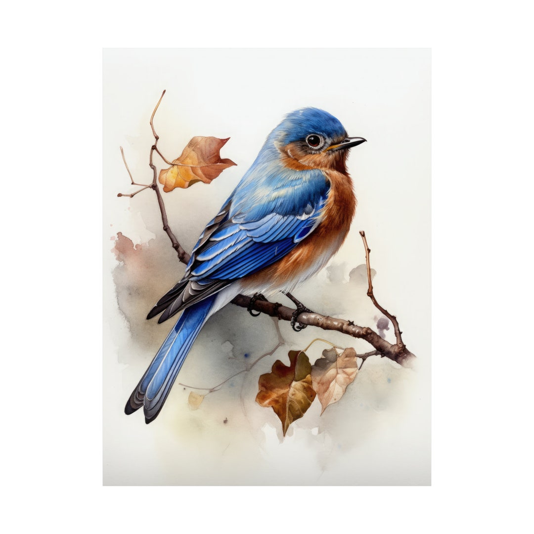 Eastern Bluebird Art Print, Bird Painting, Bird Wall Art, Bird ...