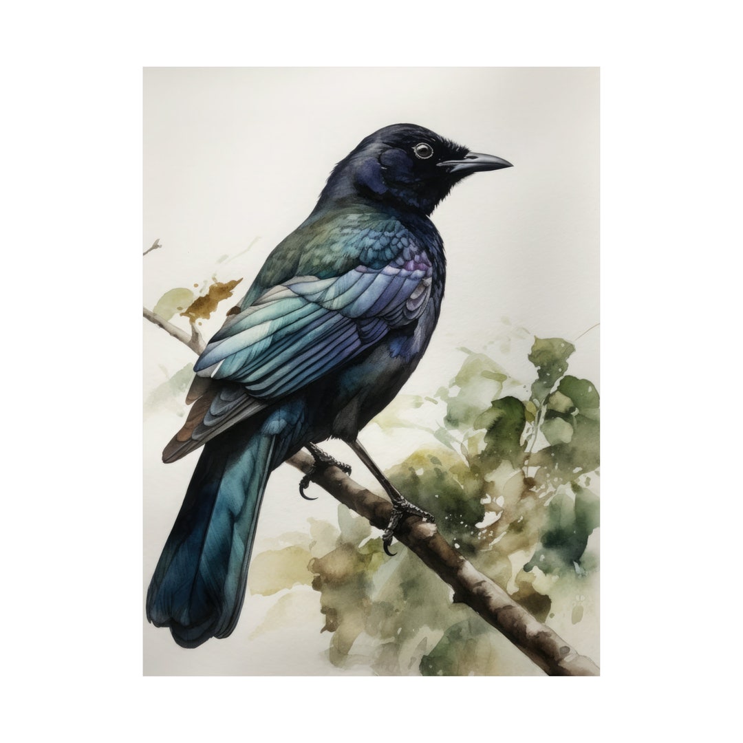 Common Grackle Bird Art Print Bird Painting Bird Wall Art Bird