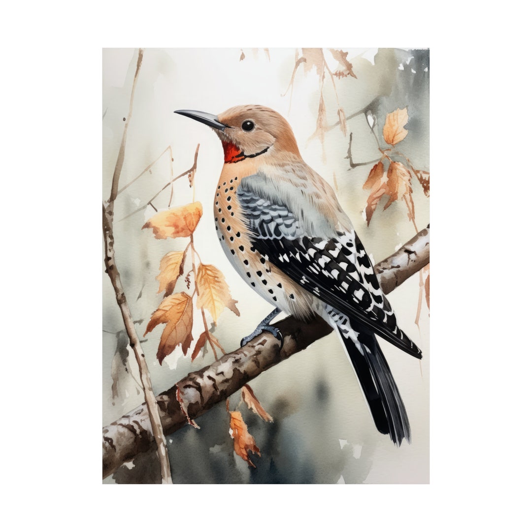 Northern Flicker Bird Art Print, Bird Painting, Bird Wall Art, Bird ...