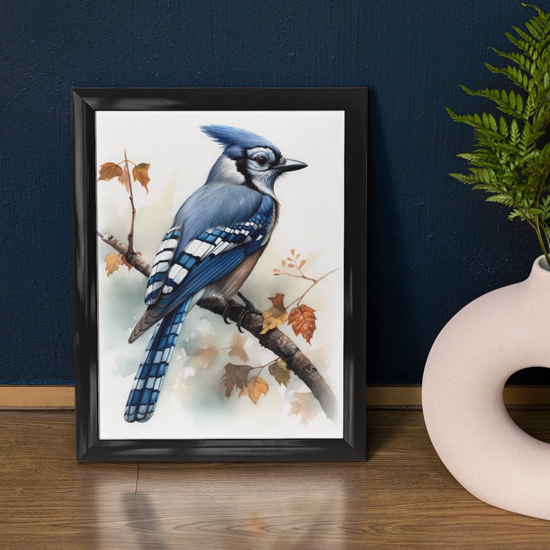 Blue Jay Print - Etsy