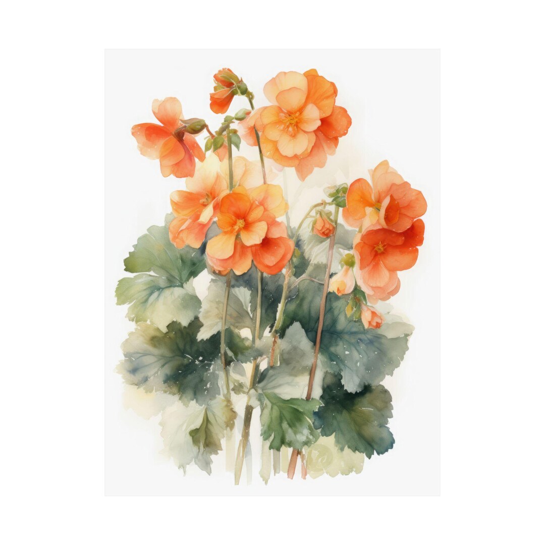 Begonia Flower Art Print Poster, Flower Painting, Flower Décor, Floral ...