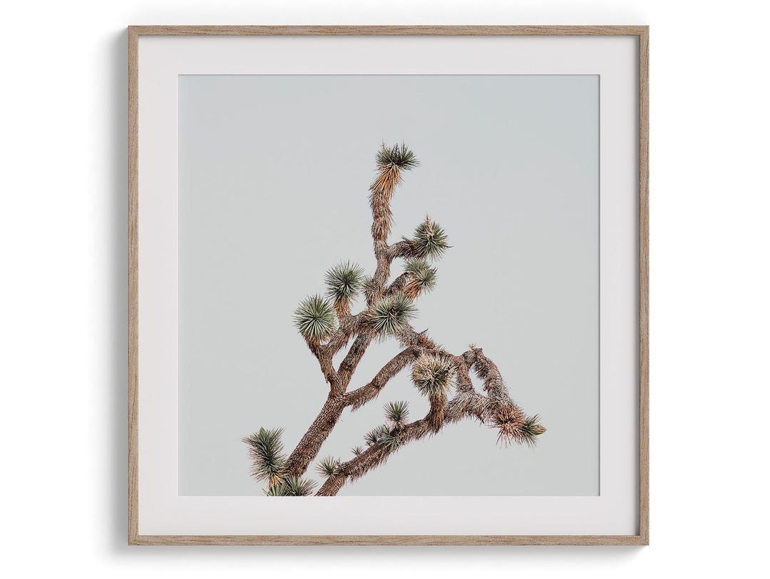 Joshua Tree Boho Faded Colors Minimalist Photography Print, California ...