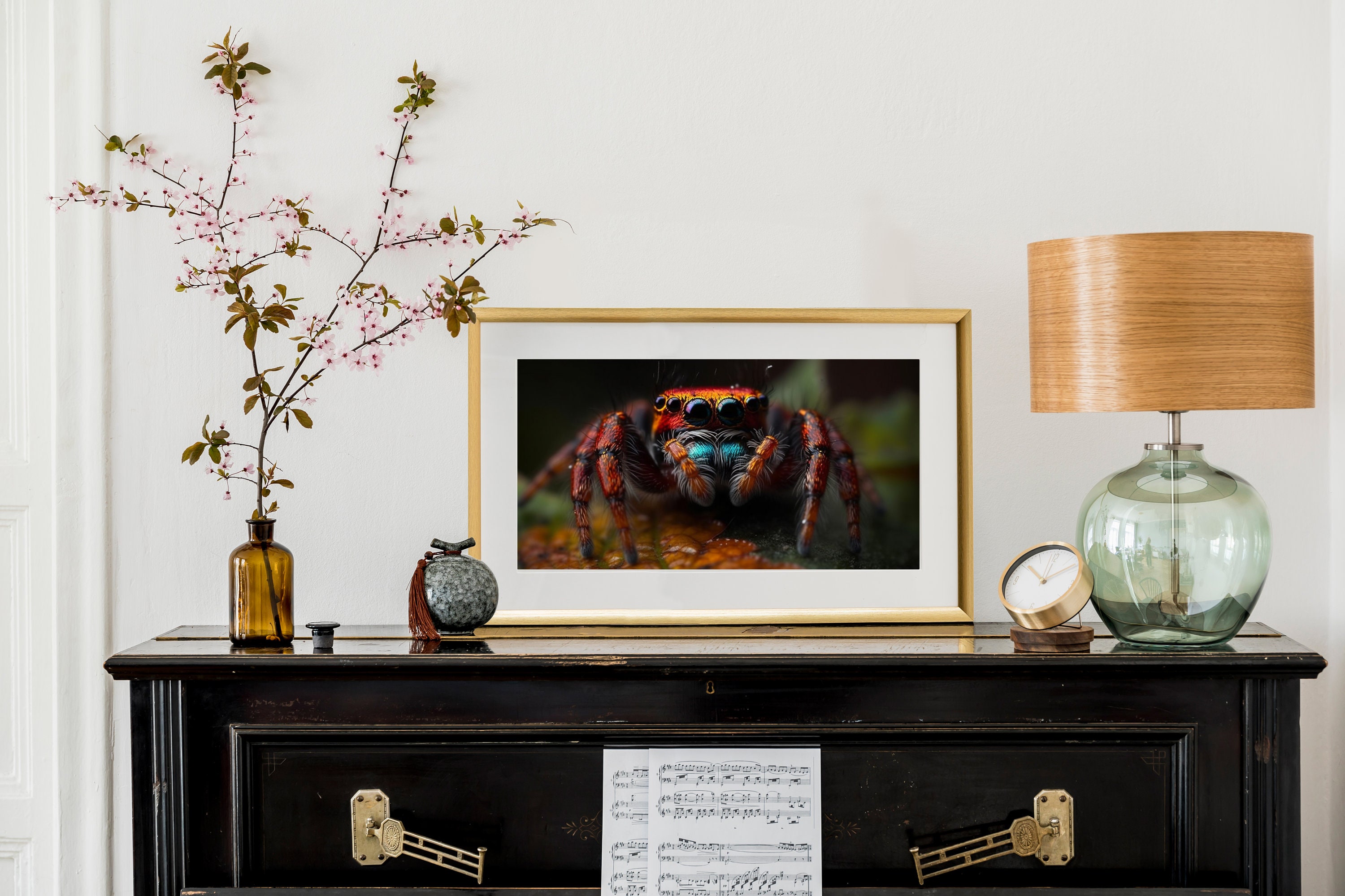 Adorable Jumping Spider Macro Digital Download, Spider Closeup, Spider ...