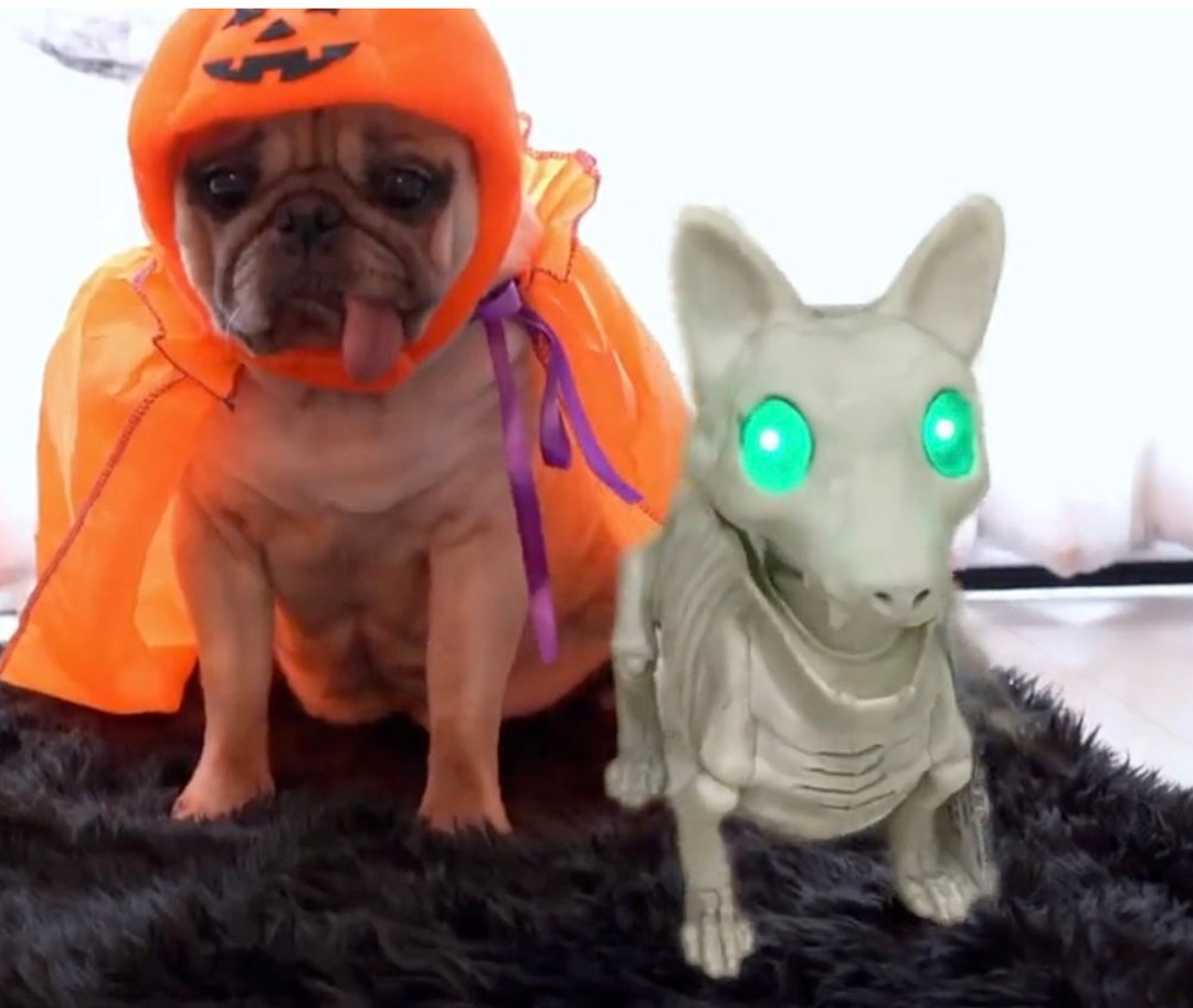 Dog Barking Skeleton Hauting Skeleton Dog Skeleton Puppy Ears - Etsy
