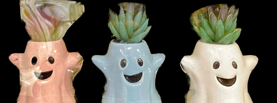 Cute Halloween Ghost Planters Halloween Ghost Succulent - Etsy