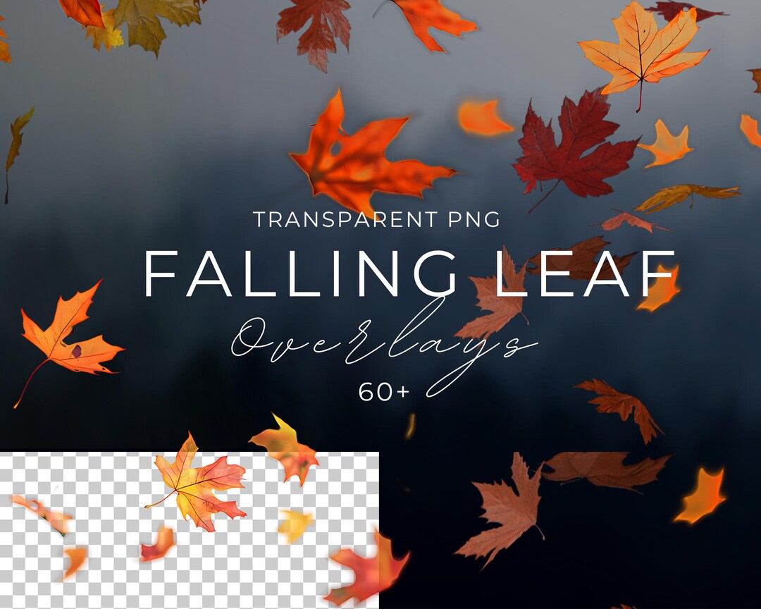 Falling Leaves Photo Overlays: Autumn PNG Clipart (digital Download) - Etsy