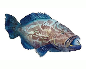 Mango Tropical Fruit Food Watercolor Painting Giclée Print - Etsy