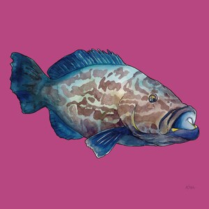 Grouper Fishing Food Watercolor Painting Giclée Print Background Color ...