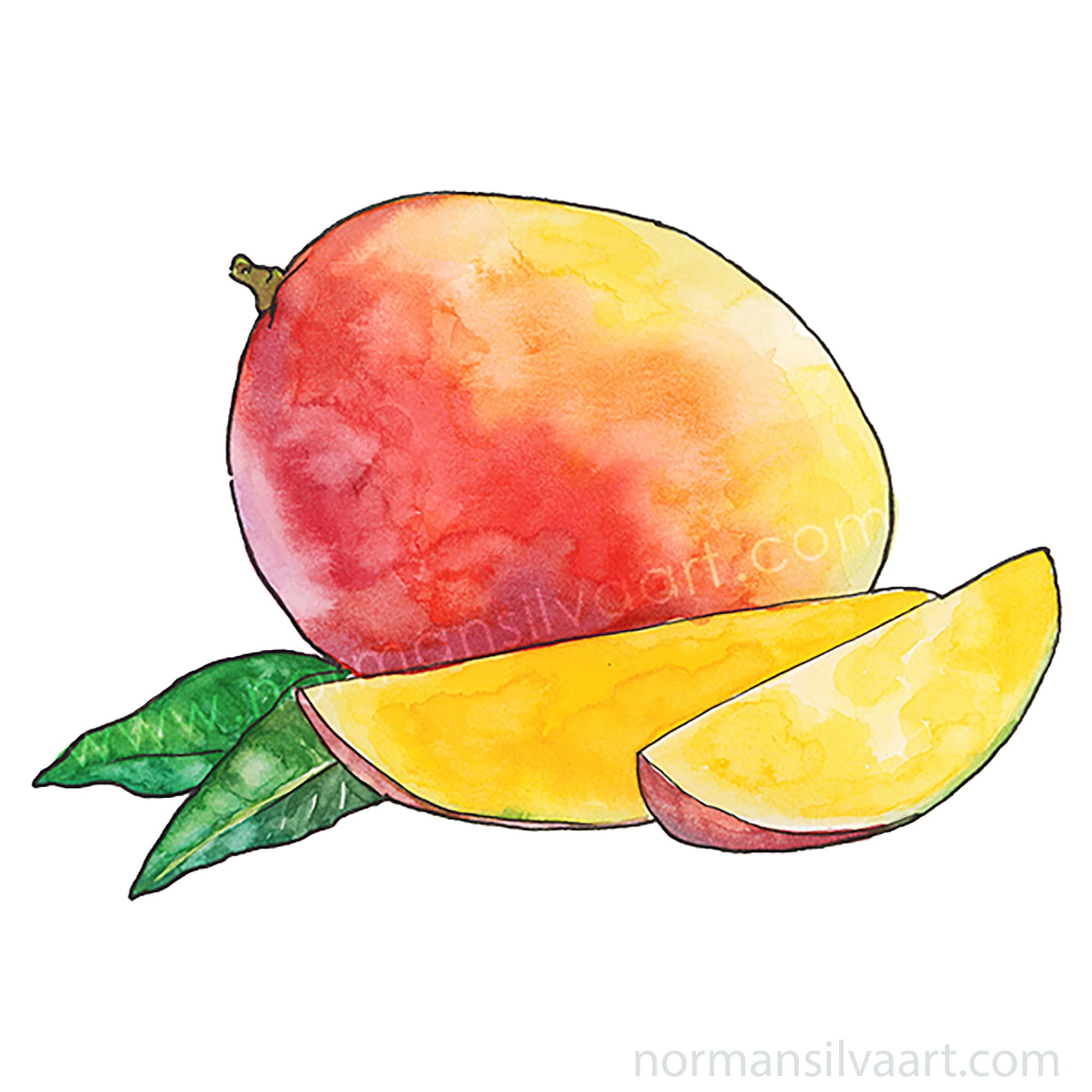 Mango Tropical Fruit Food Watercolor Painting Giclée Print - Etsy