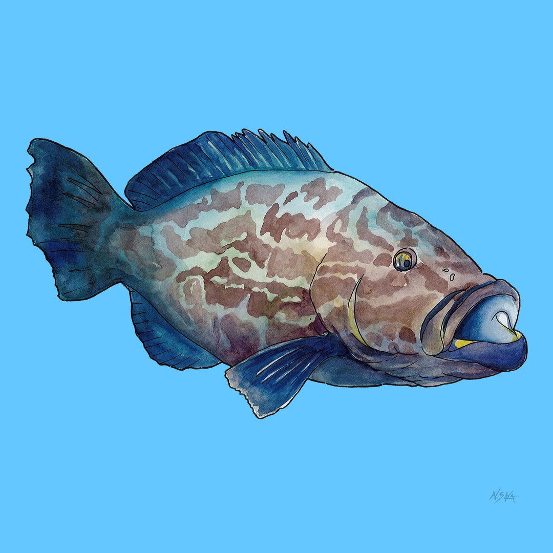 Grouper Fishing Food Watercolor Painting Giclée Print Background Color ...