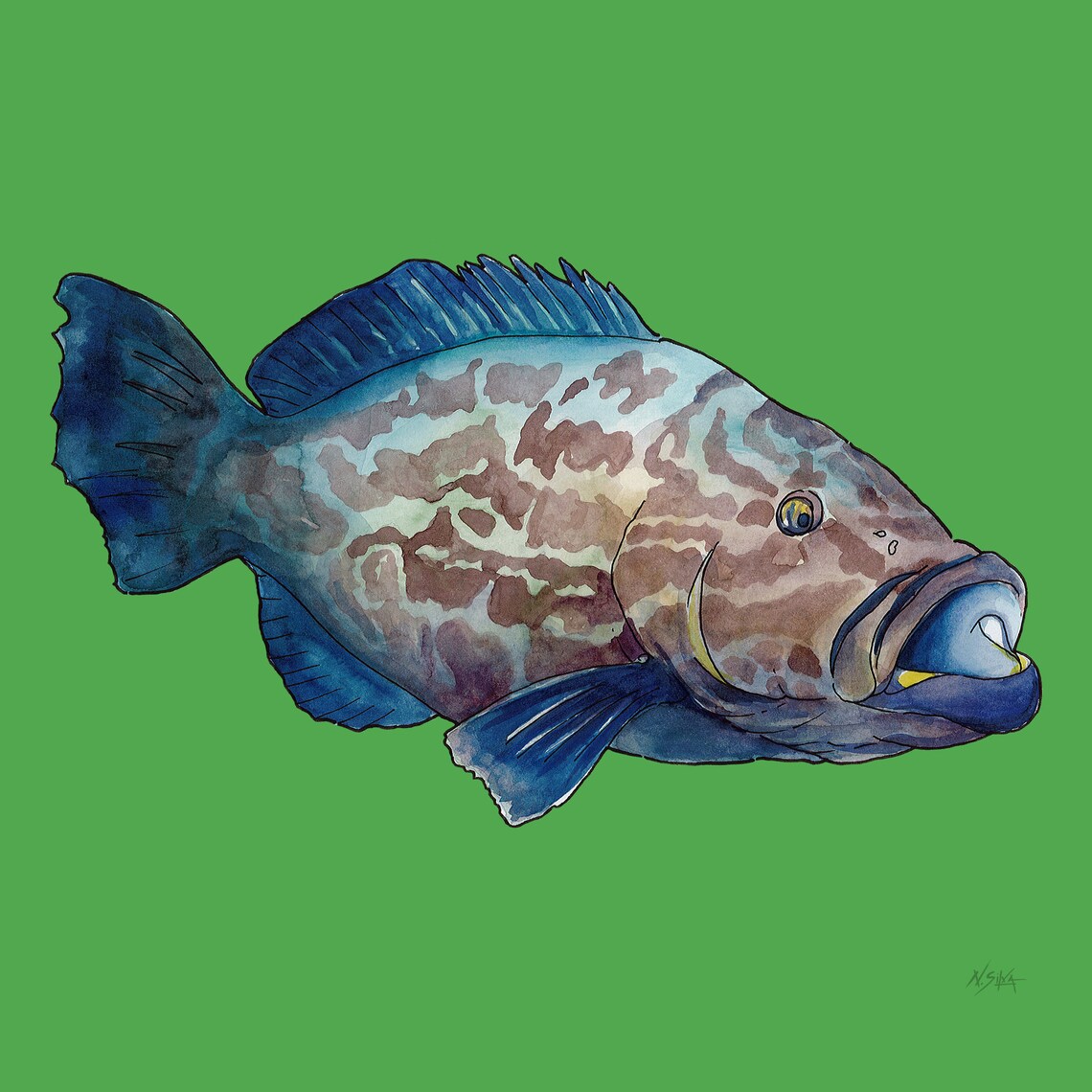 Grouper Fishing Food Watercolor Painting Giclée Print Background Color ...