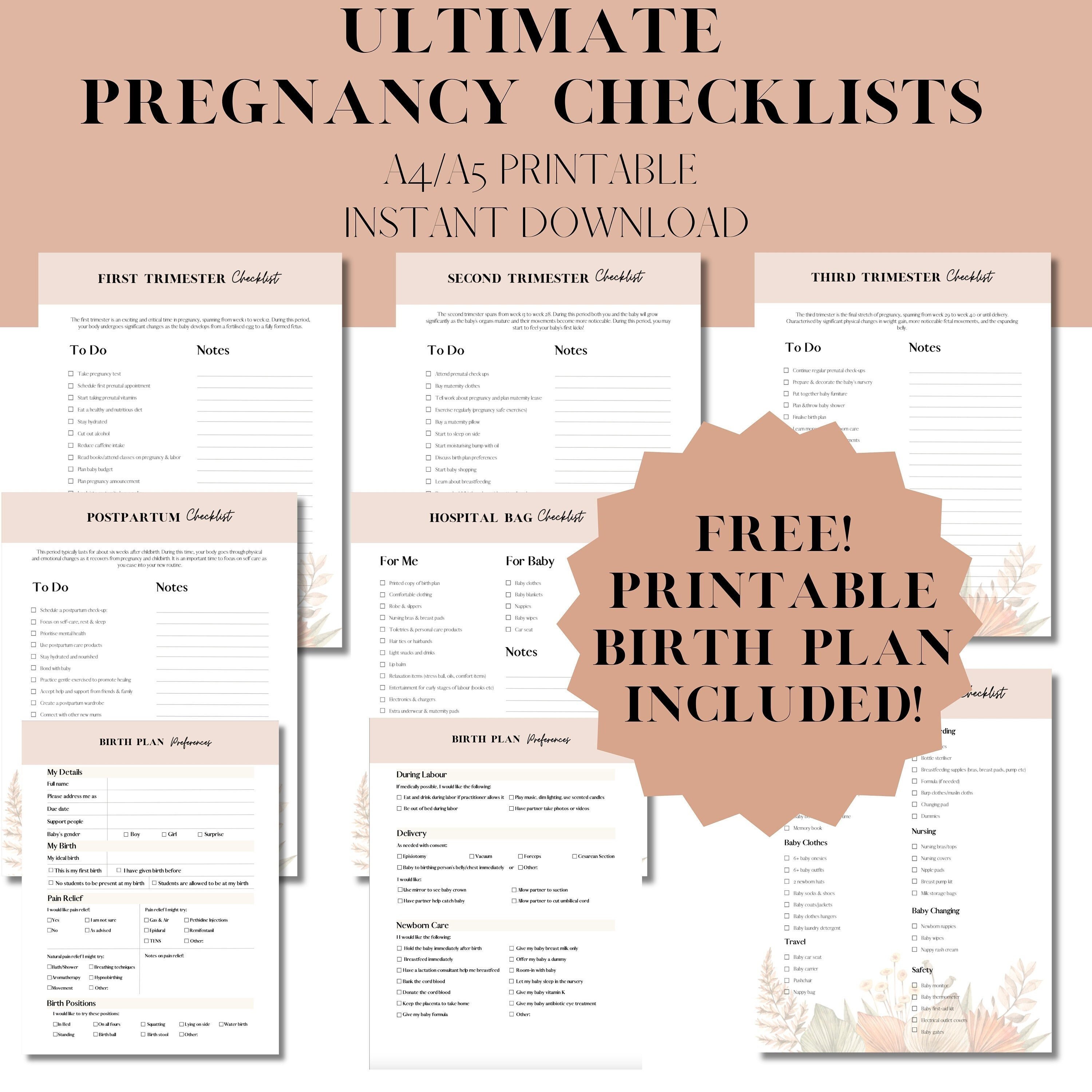 Pregnancy Checklists Bundle Printable, Pregnancy Planner, Pregnancy ...