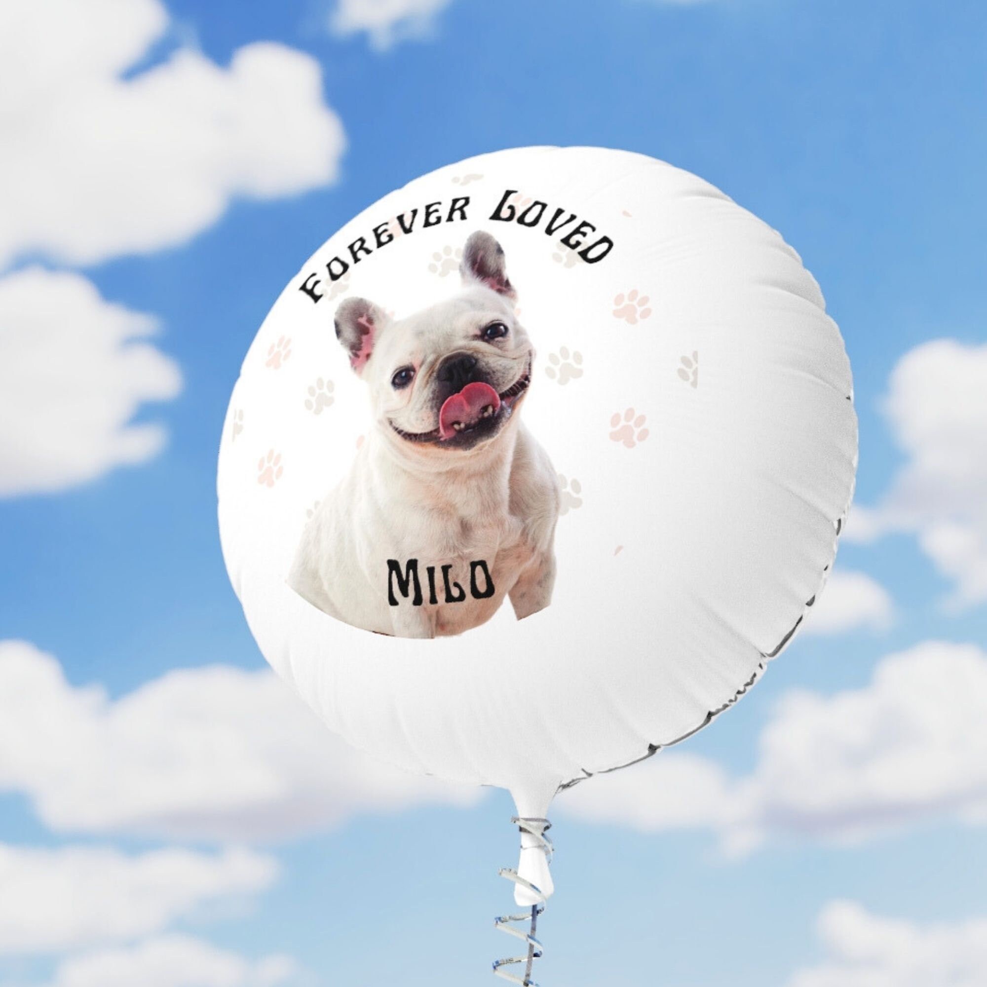 Customizable Pet Helium Balloon Birthday Party Decor Dog Balloon ...