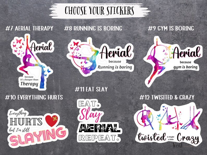 Hologram Aerial Sticker Gift Aerial Silk Vinyl Decal Circus Art Sticker ...