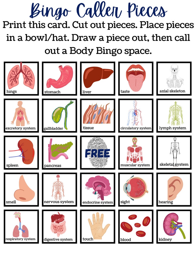 Human Anatomy Bingo: Body Parts Learning Game (PDF) - Etsy