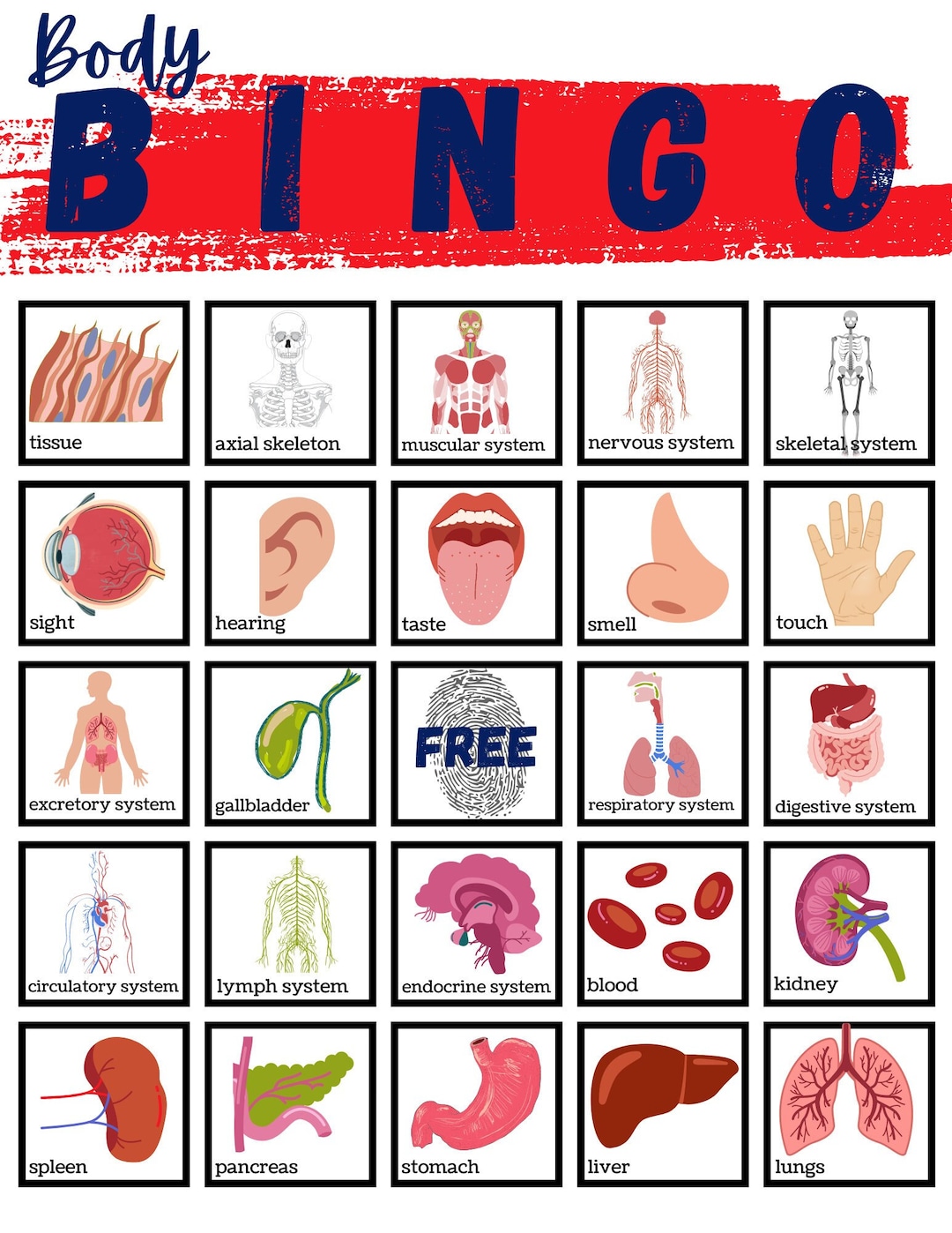 Human Body Anatomy Bingo. Body Bingo. - Etsy