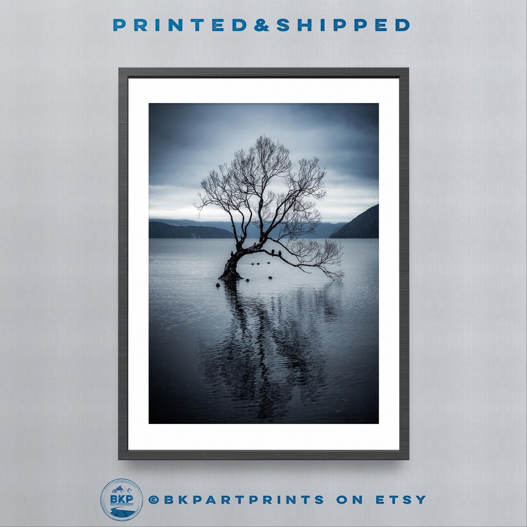 Wanaka Tree Fine Art Print – New Zealand Nature Photography - Etsy UK