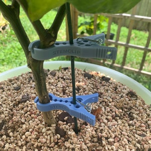 Plant Stem Clip - Etsy