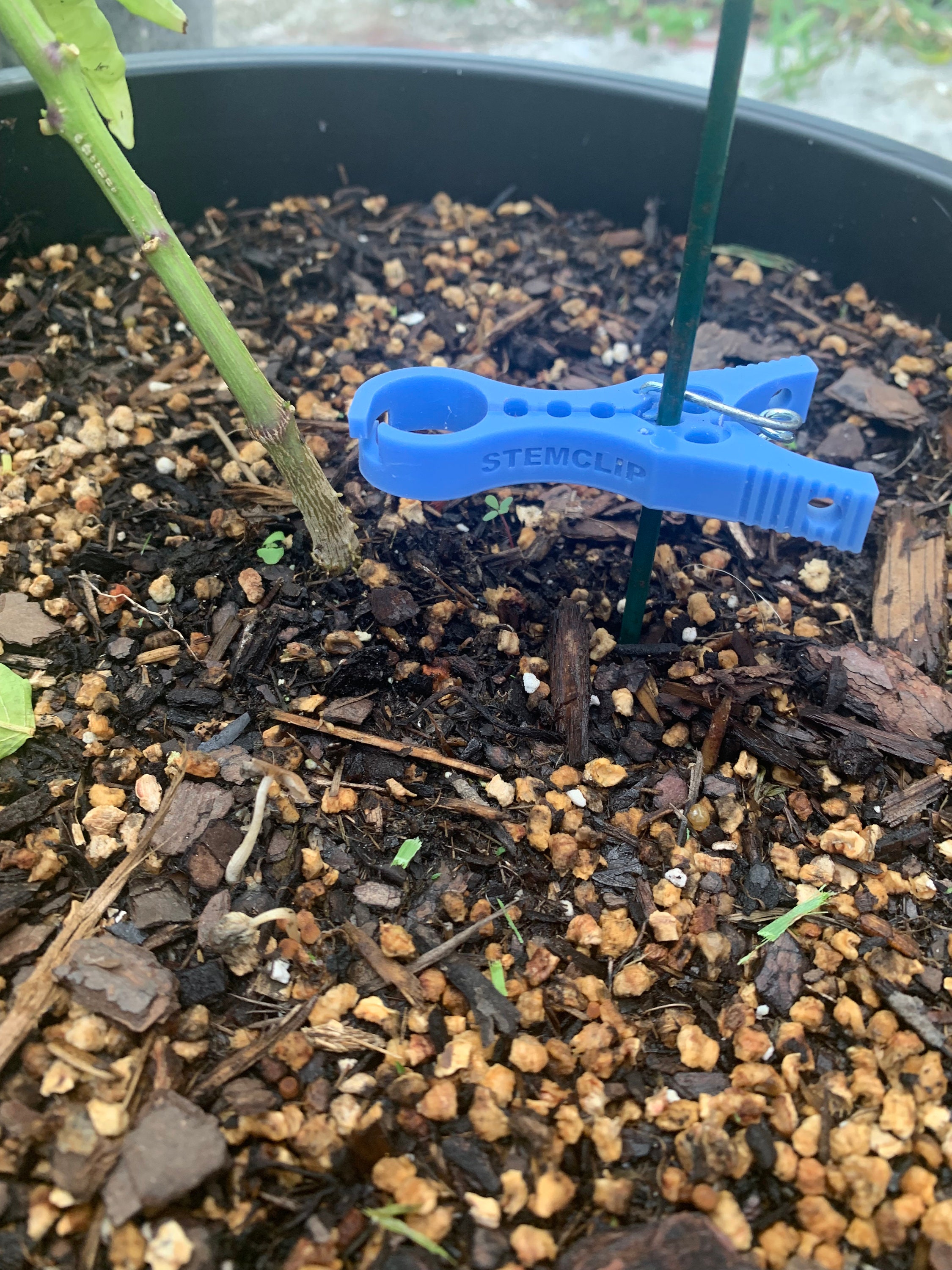 Plant Stem Clip - Etsy