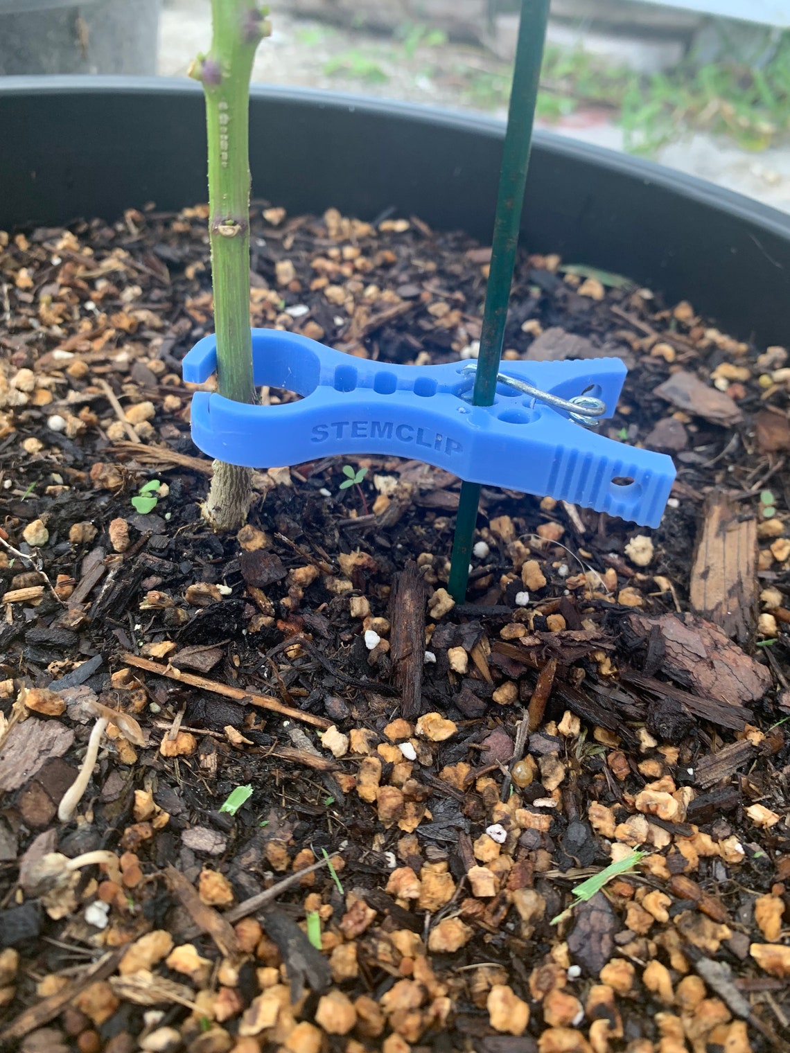 Plant Stem Clip - Etsy