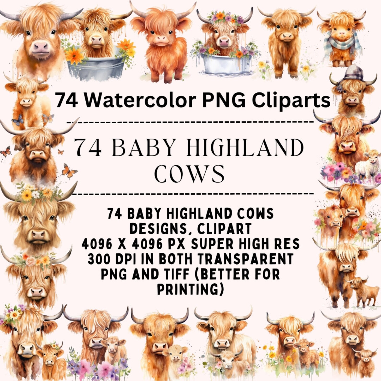 Highland Baby Cow, Watercolor Clipart, Highland Cow Baby, Baby Shower ...