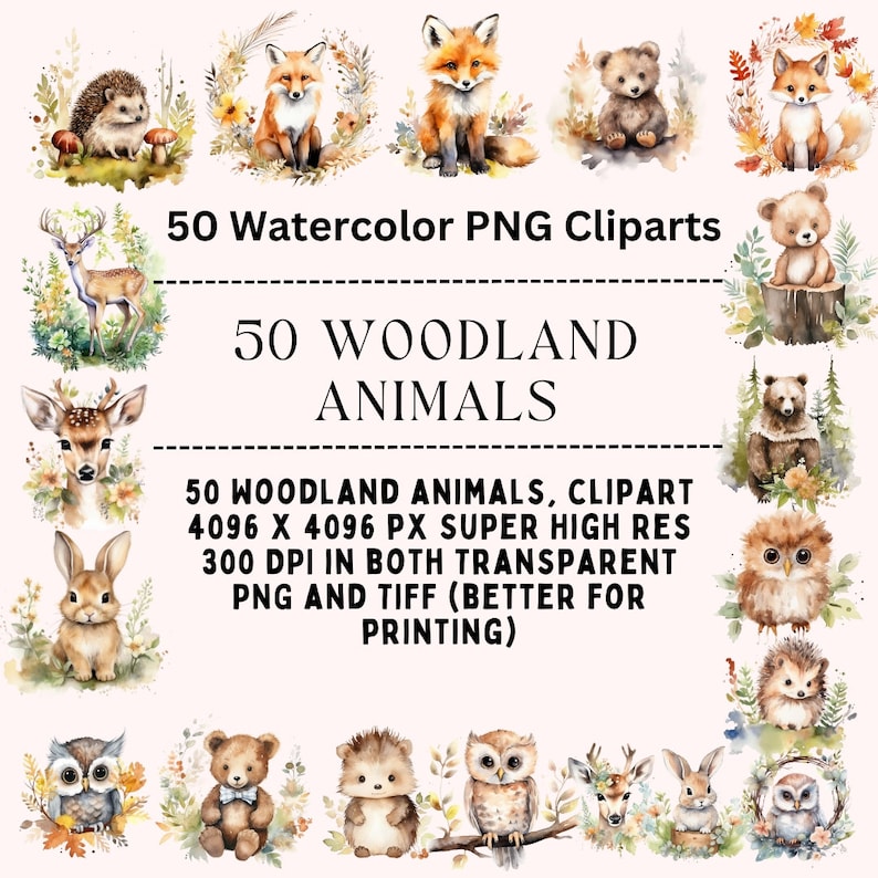 Woodland Animals Clipart, Baby Animals Clip Art, Bear, Fox, Owl ...