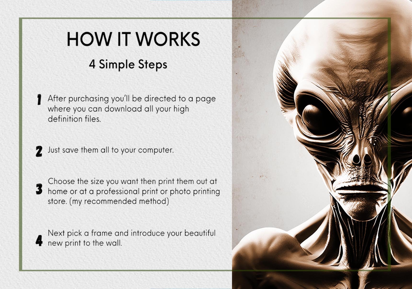 6 Classifed Alien Race Species Posters Digital Art - Etsy