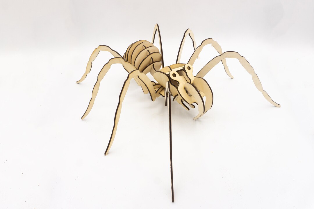 Intricate Laser Cut Plywood Spider Puzzle - 3D Wooden Arachnid ...