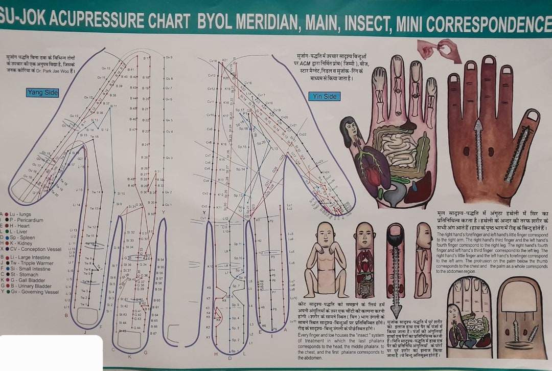 Acupressure Su-jok Therapy Chart Sujok Chart Correspondence - Etsy