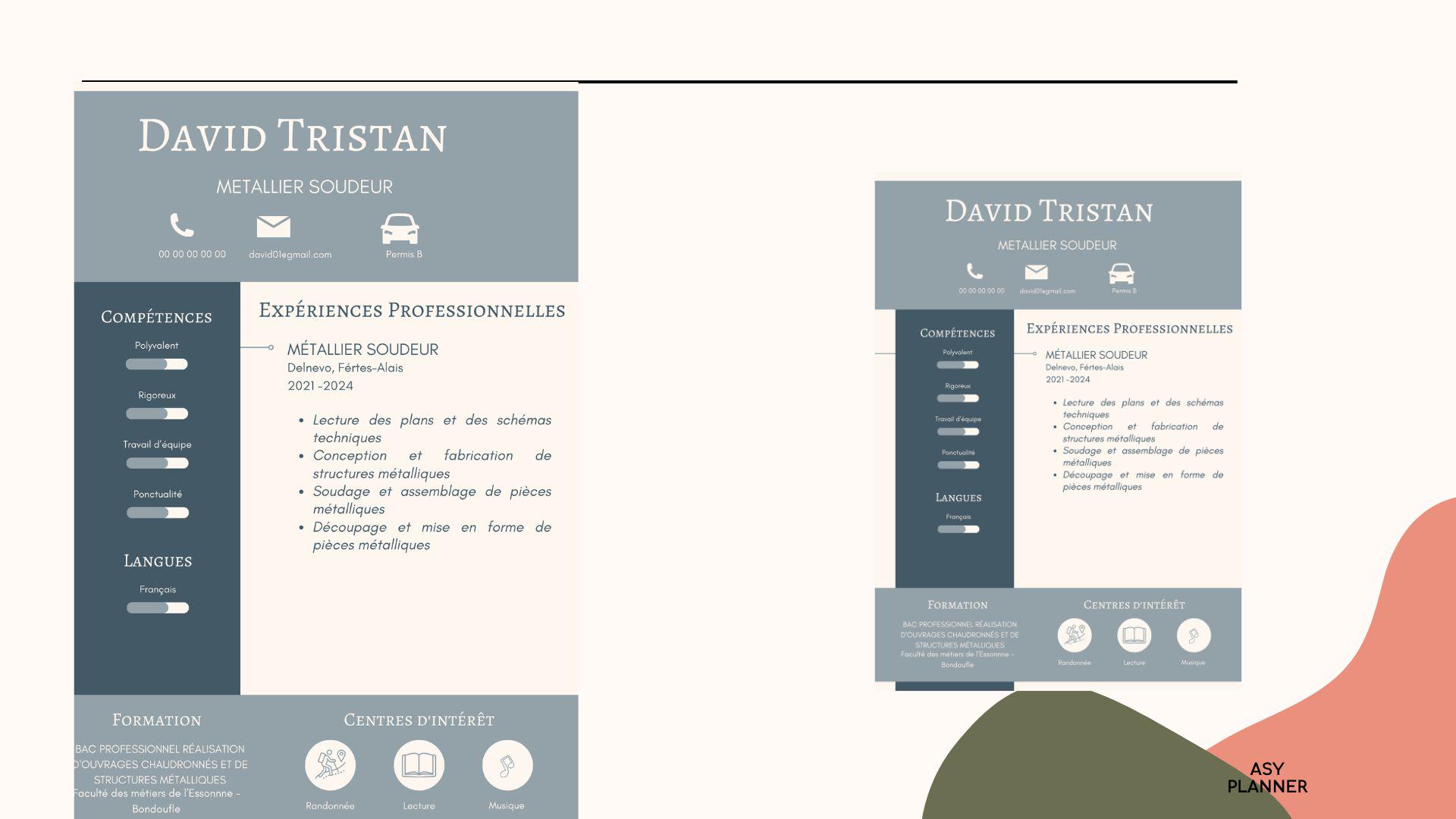 CV Template, CV TEMPLATE, Organization, Cvpdf - Etsy