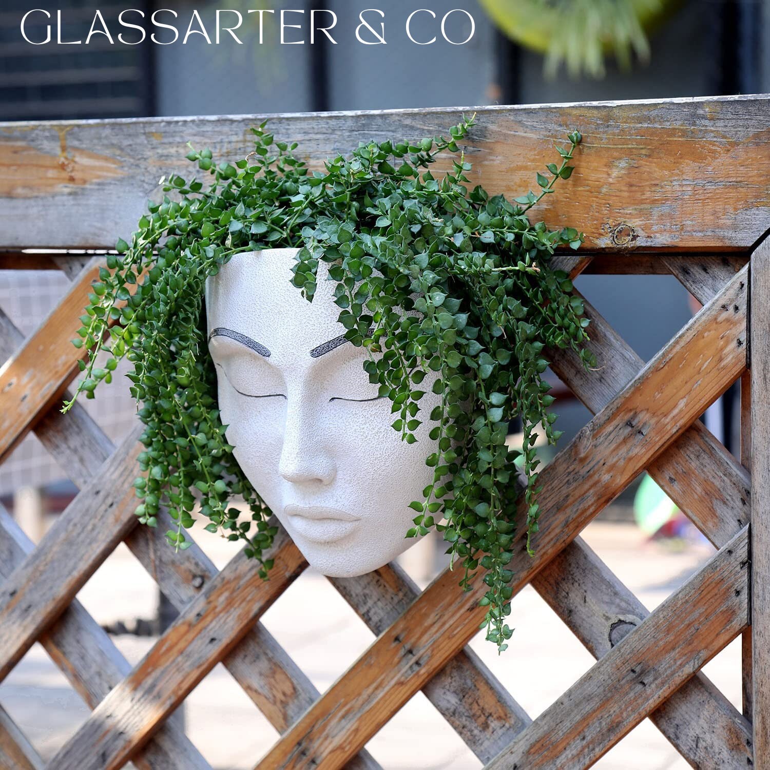 Face Head Pot Plant Potceramic Face Vase Hanging Planter Home - Etsy