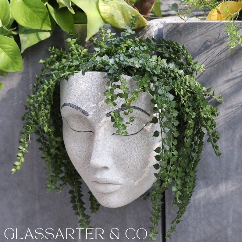 Face Head Pot Plant Potceramic Face Vase Hanging Planter Home - Etsy