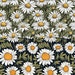 Boho Block Print Daisies 1 8 Printable Scrapbook Sheets Seamless ...