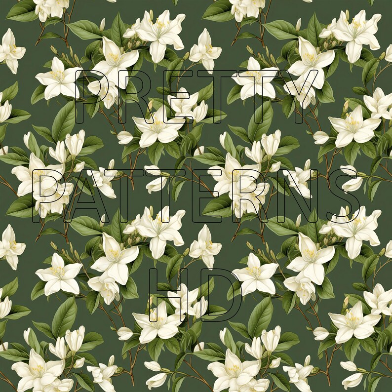 Illustrated Jasmine #1 - 8 Printable Scrapbook Sheets - Continuous ...