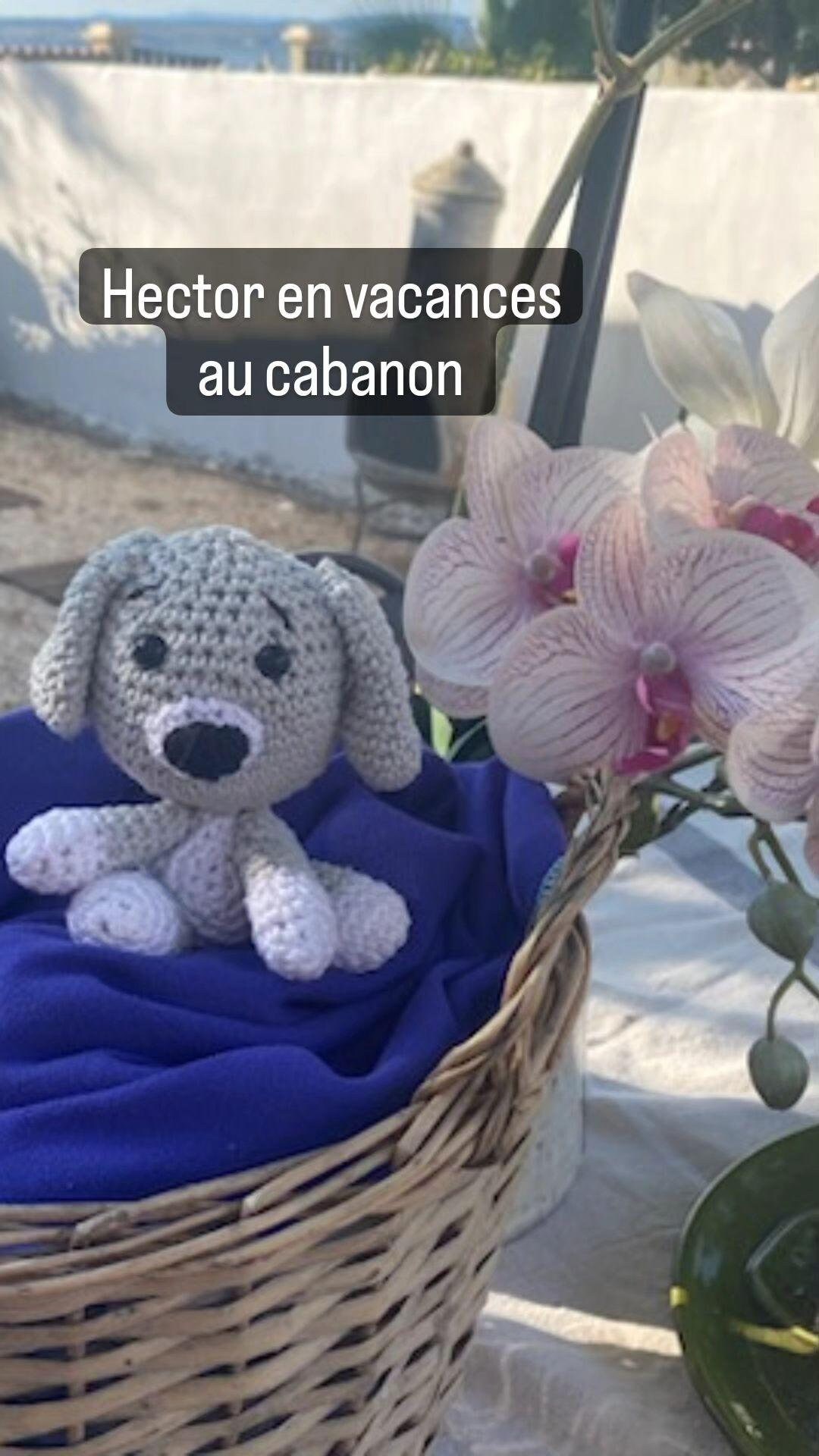 HECTOR THE DOG - Etsy