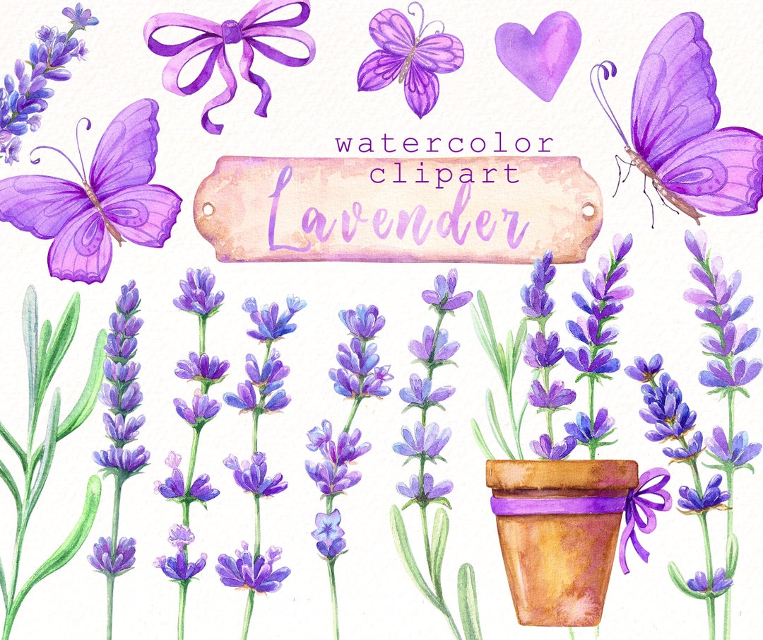 Watercolor Lavender Clipart: Rustic Floral PNG (digital Download) - Etsy