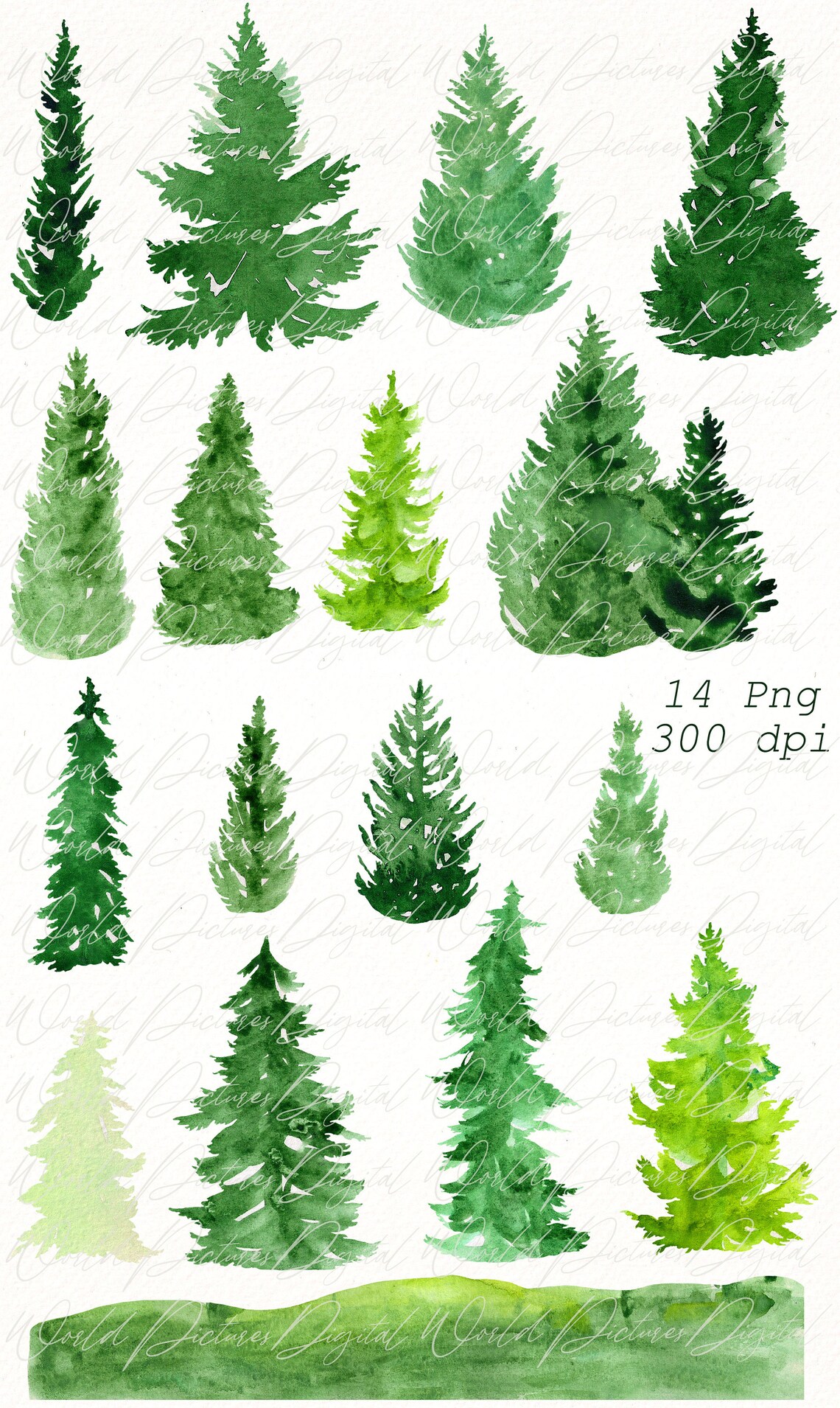 Pine Trees Watercolor Clipart, Landscape Clip Art, Forest, Woodland ...