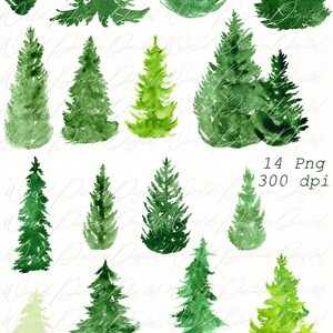 Pine Trees Watercolor Clipart, Landscape Clip Art, Forest, Woodland ...