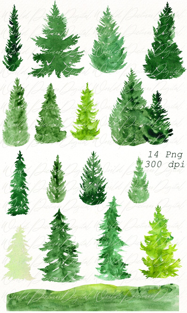 Pine Trees Watercolor Clipart, Landscape Clip Art, Forest, Woodland ...