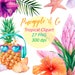 Pineapple PNG Clipart, Watercolor Tropical Clip Art, Watercolor Summer ...