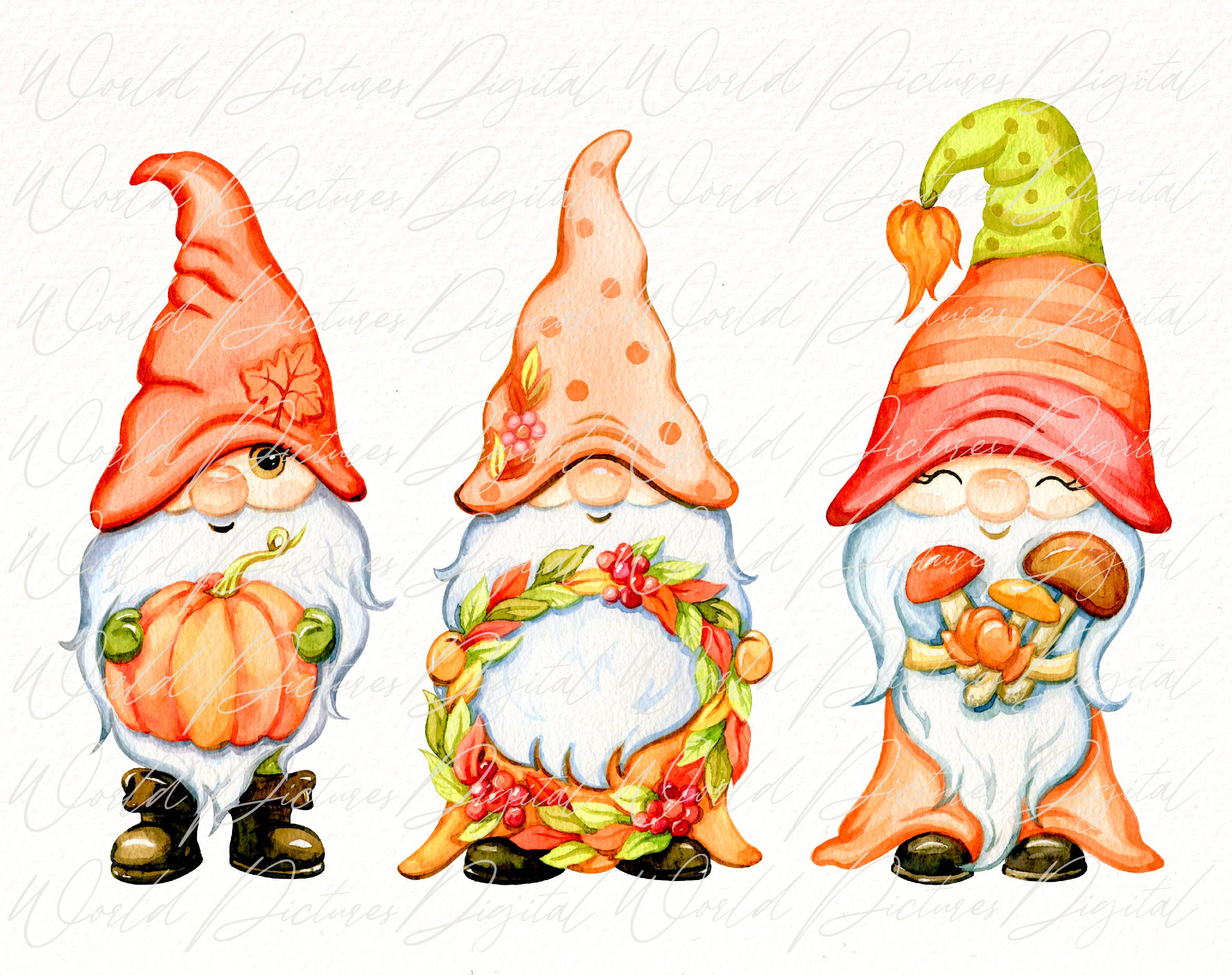 Fall Gnomes Watercolor Clipart, Thanksgiving Gnome PNG, Pumpkin Clip ...