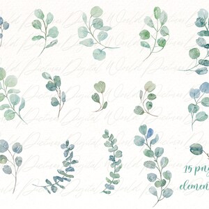 Watercolor Eucalyptus Clipart: Green Leaves PNG, Wedding Graphics ...