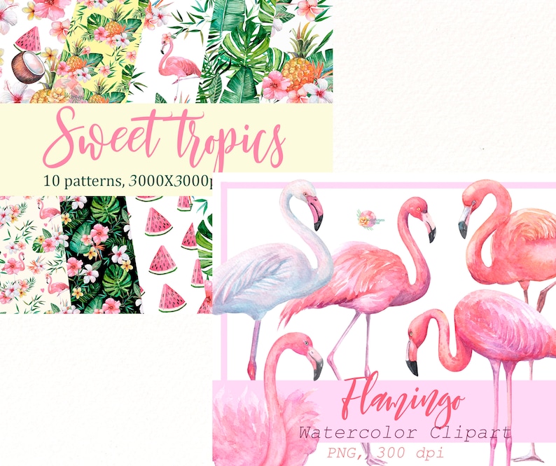 Watercolor Tropical Clipart. BUNDLE Tropic Frame, Bouquets, Patterns ...